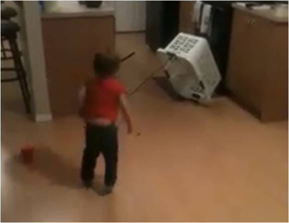 How to trap a toddler - The Poke