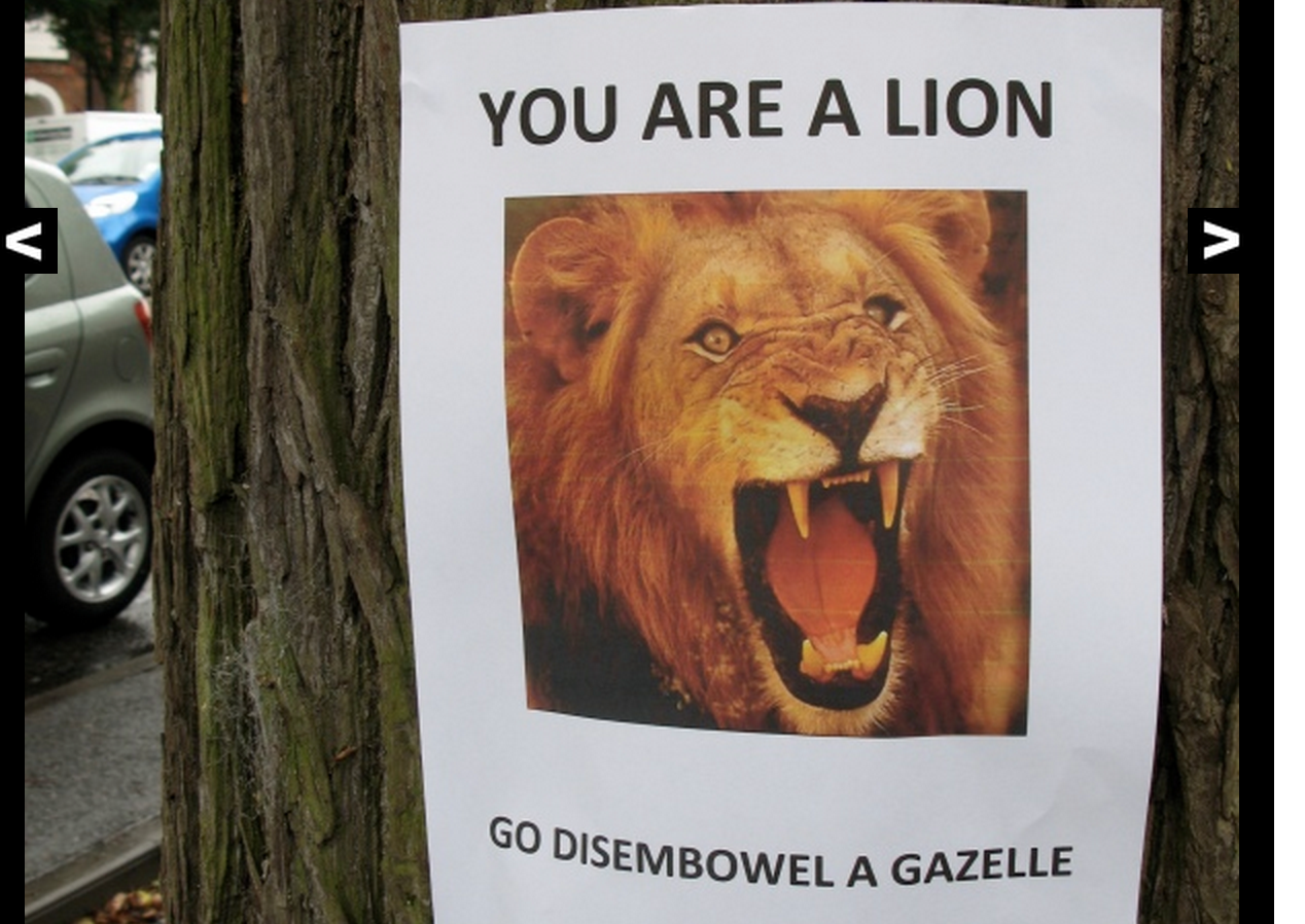 Motivational Wildlife Posters - The Poke