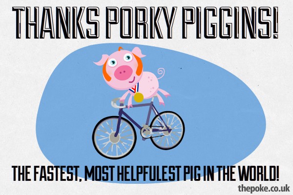 Thanks Porky Piggins! - The Poke