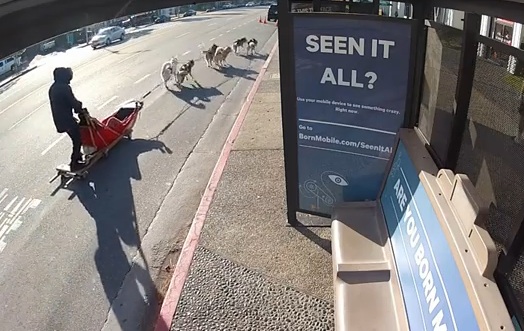 bored_bus_viral - The Poke - The Poke