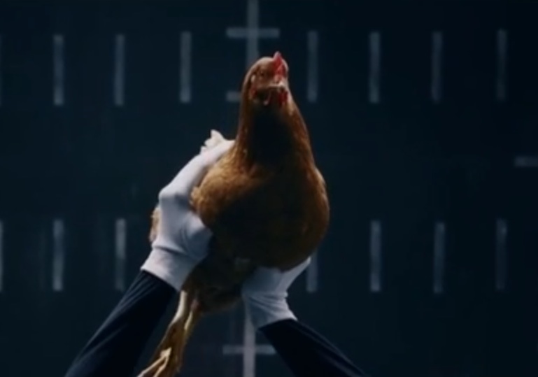 ad_magic_chicken - The Poke - The Poke