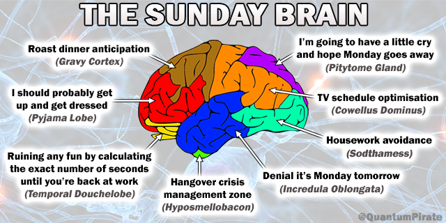 Sunday Brain [infographic] - The Poke