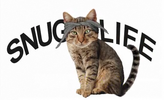 Tupac Cat - The Poke