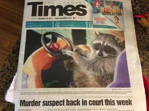 Newspaper Cover Layout Of The Day - The Poke