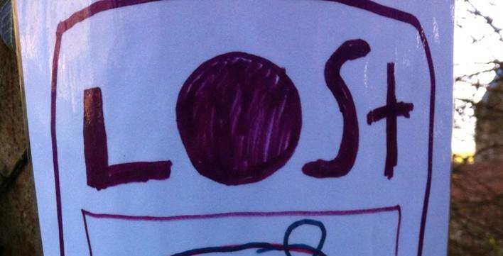 This Remains The World's Greatest 'Lost Guinea Pig' Poster... - The Poke