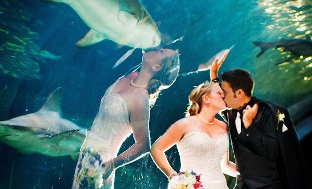 Perfectly Timed Wedding Photo - The Poke