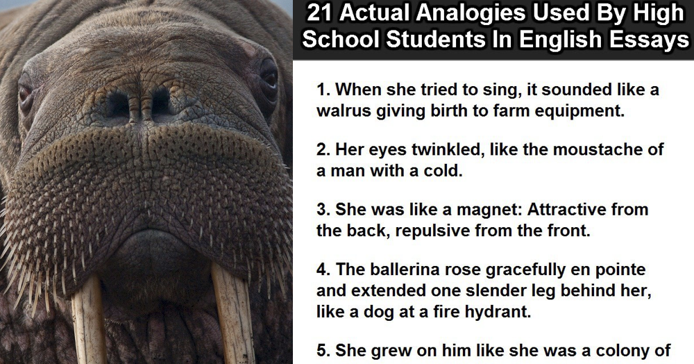 21 Amazing Analogies Used By English Students - The Poke