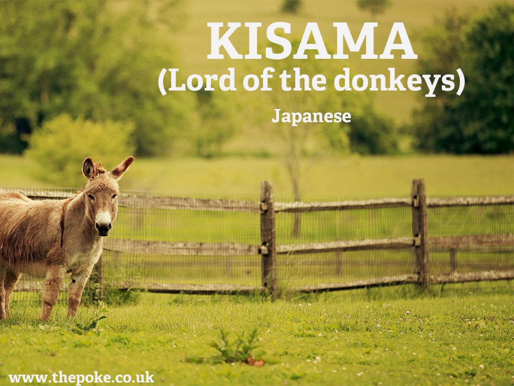 Kisama - The Poke - The Poke