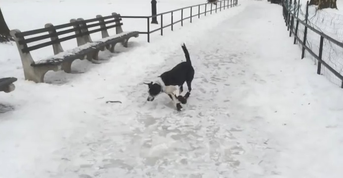 Karma in the snow - The Poke