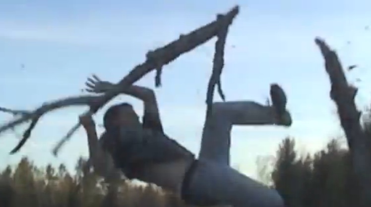 People vs. trees compilation - The Poke