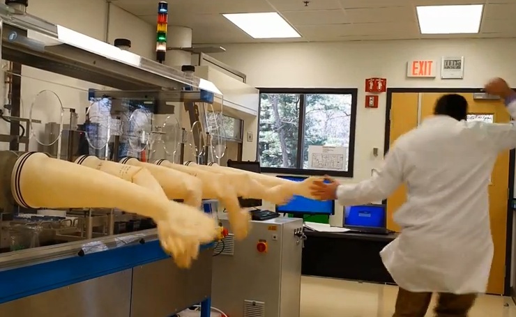 What happens when scientists get bored - The Poke