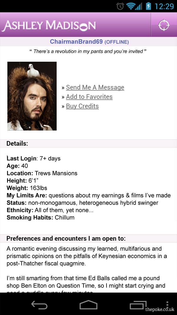 celeb-ashley-madison-profile_brand - The Poke - The Poke