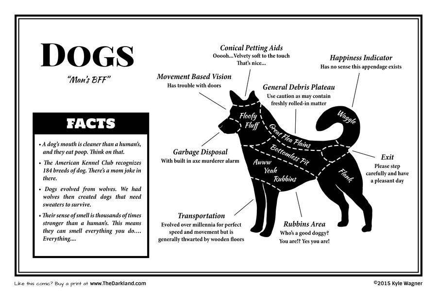 what-is-dog - The Poke - The Poke
