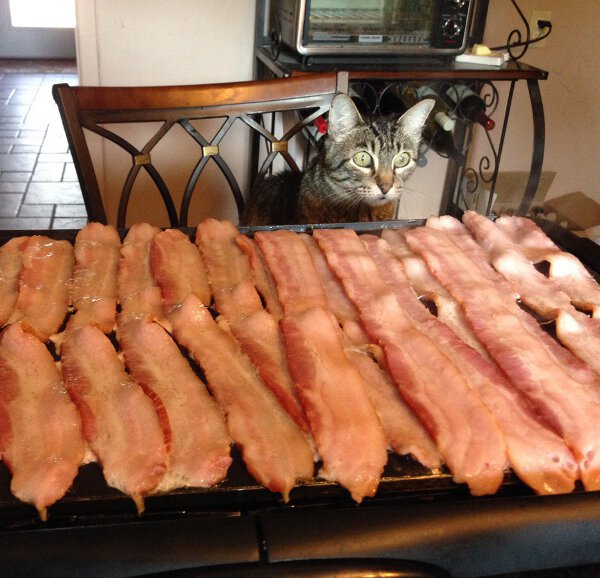 bacon - The Poke - The Poke