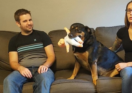 Pregnancy announcement of the day - The Poke