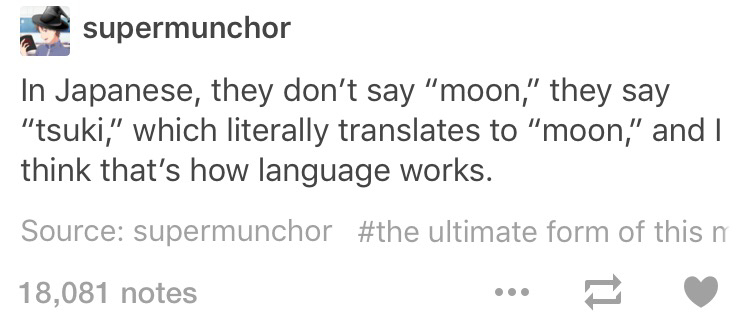 How language works - The Poke