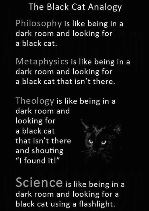 The Black Cat Analogy (of Philosophy, Metaphysics, Theology and Science ...