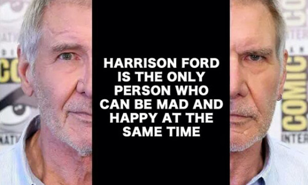 Harrison Ford can display an extraordinary range of emotions - The Poke