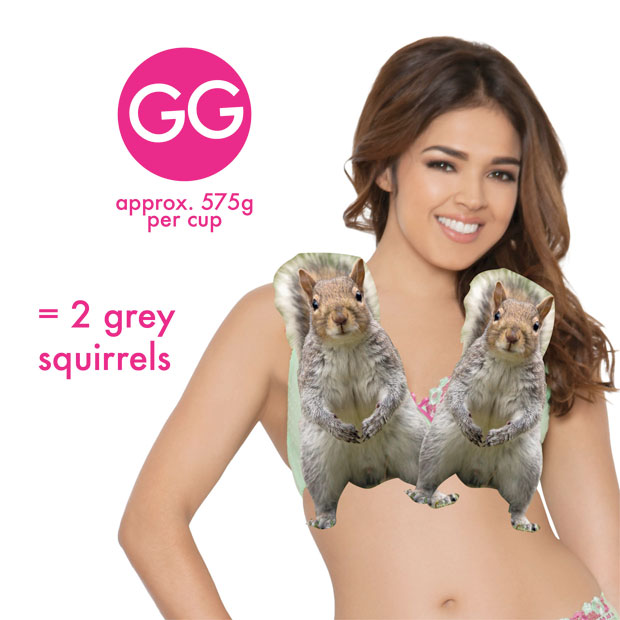 Finally, you can find out your equivalent boob weight compared to Branston pickle, squirrels and ...
