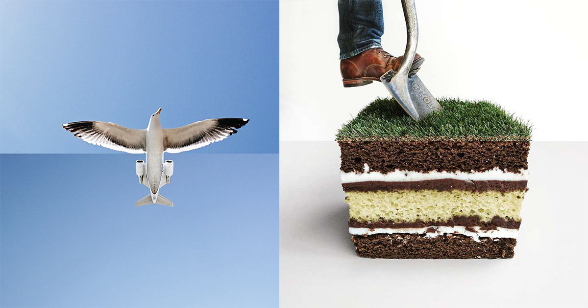 10 combination photos that will melt your brain - The Poke