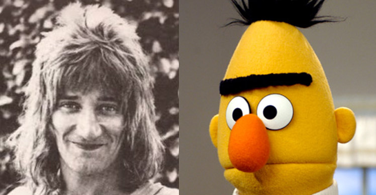 berty - The Poke - The Poke