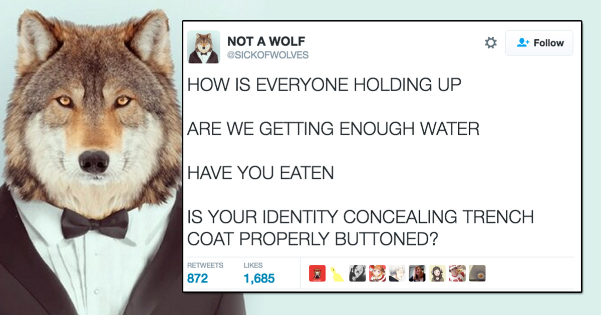 These 25 tweets from someone who is "definitely not a wolf pretending ...