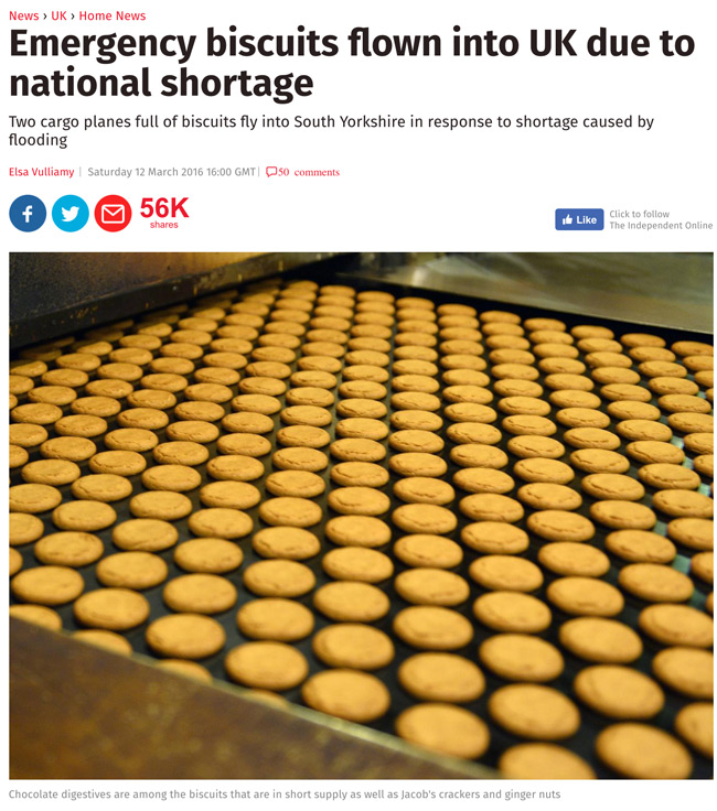 emergencybiscuits - The Poke - The Poke