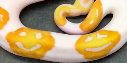 Emoji python will leave you totally confused. It's a snake! Happy face ...