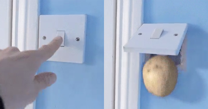 This incredible DIY hack makes light switches dispense potatoes - The Poke