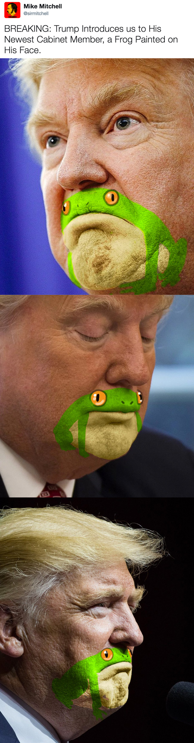 trumpfrog - The Poke - The Poke