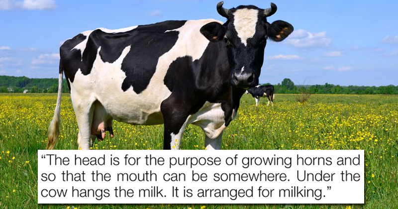 This WW2 evacuee's description of a cow is probably the best ever ...