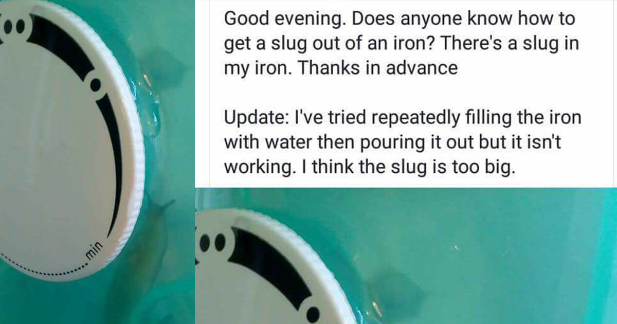 This fat slug is stuck in an iron and the replies about getting it out ...
