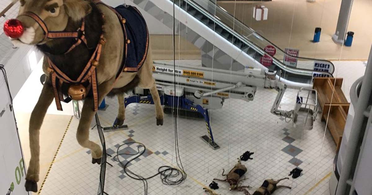 deer - The Poke - The Poke