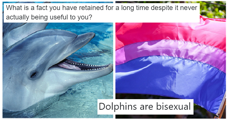 People inexplicably remember some really useless stuff - 19 perfect ...