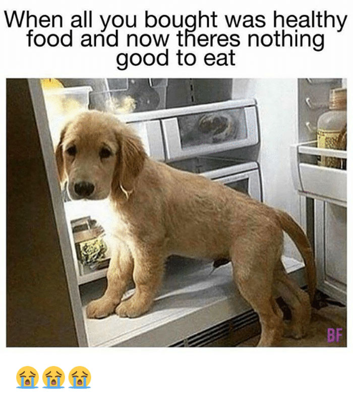 Got a lot on your plate? These 19 food memes will help take your mind ...