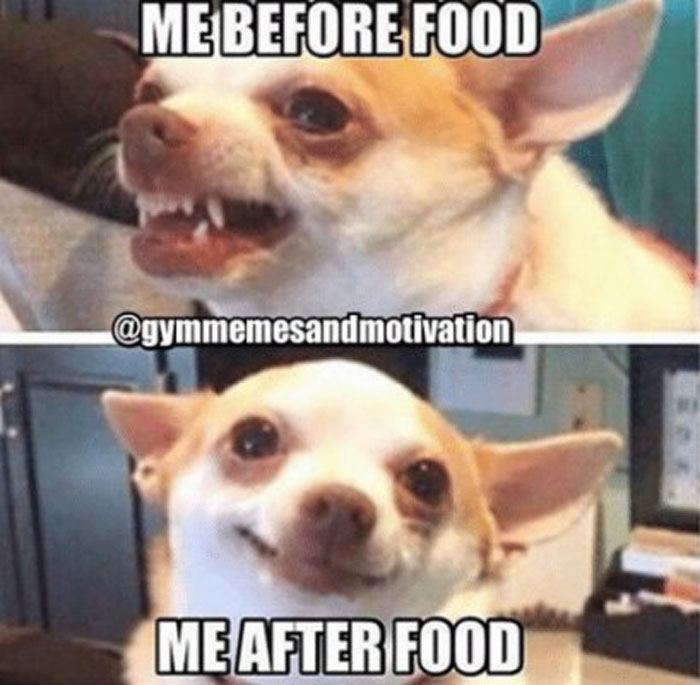 Got a lot on your plate? These 19 food memes will help take your mind ...