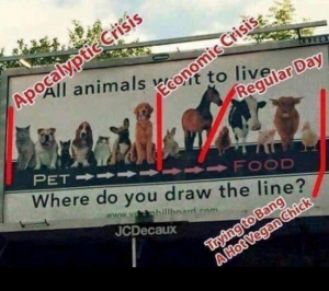 'Where do you draw the line?' - The Poke