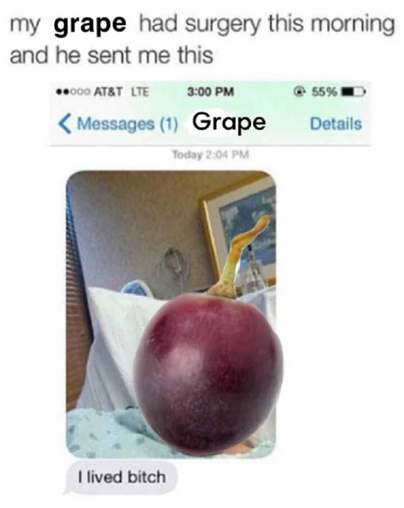 They did surgery on a grape and it became a meme - the 15 best of the ...