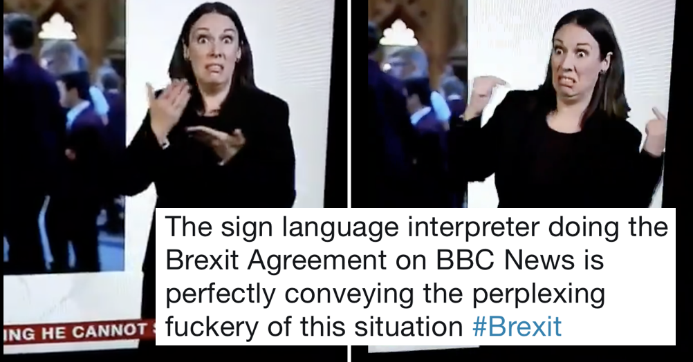 This BBC sign language expert totally nailing Brexit is the best 12 ...