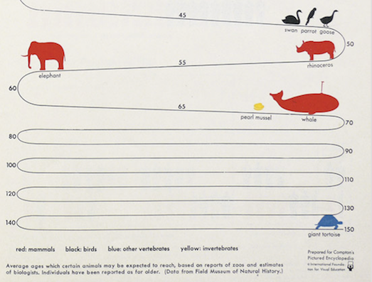 Average Animal Lifespan Chart - The Poke