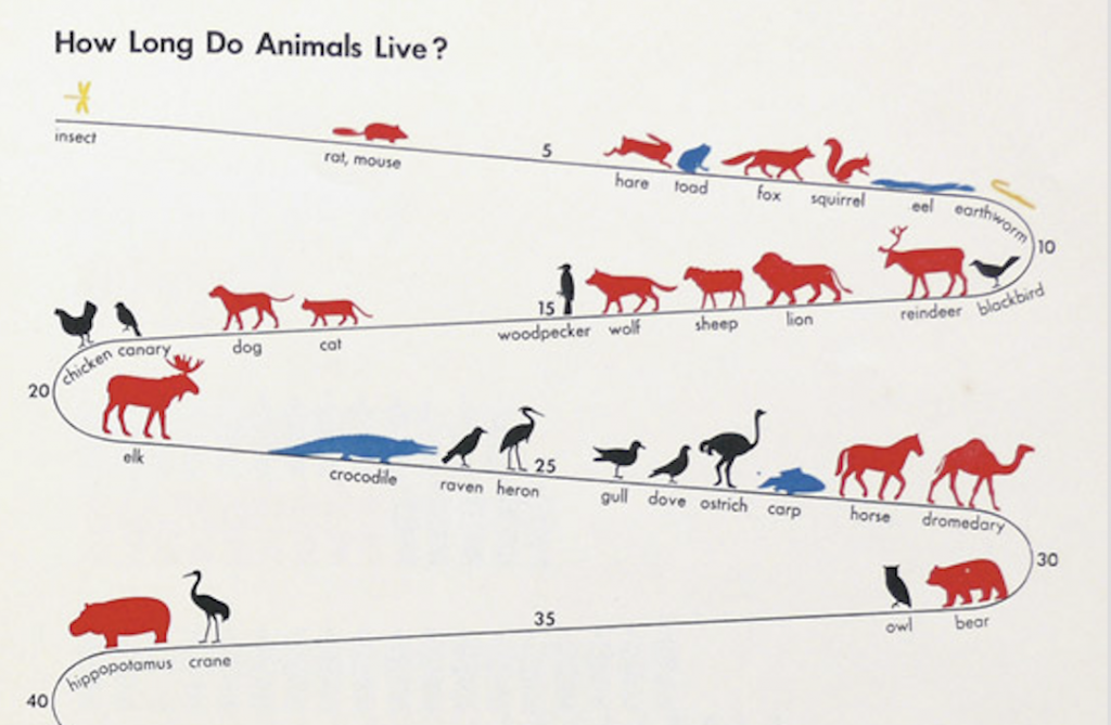 Average Animal Lifespan Chart - The Poke