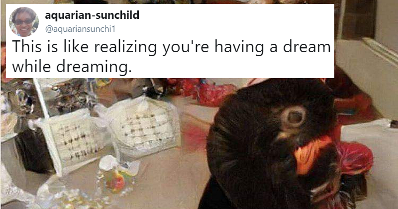 Can you name one thing in this photo? Nobody else can! - The Poke