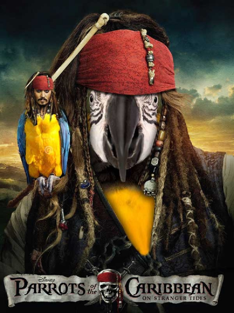 b3ta - The Poke - The Poke