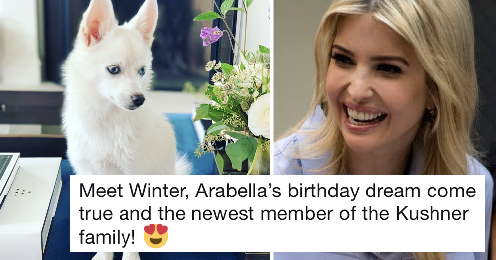 Ivanka Trump unveiled the family's new pet dog and everyone had the ...