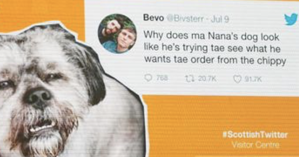 They're celebrating Scottish Twitter at the Edinburgh festival and here ...