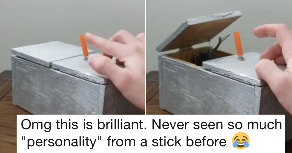 This 'do nothing' box is totally charming and the payoff is just ...