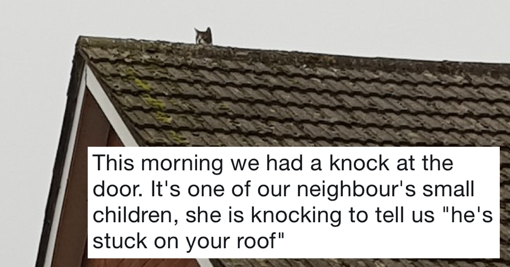 This classic story from back in the day about a cat stuck on its owner ...