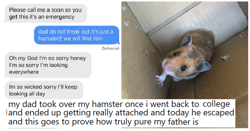 This missing hamster story has gone viral because of its adorable dad ...