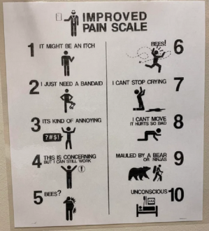 The 1 to 10 pain scale has a helpful explanation of the levels that's ...