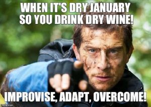 15 funny Dry January memes to give you inspiration - or otherwise - The ...